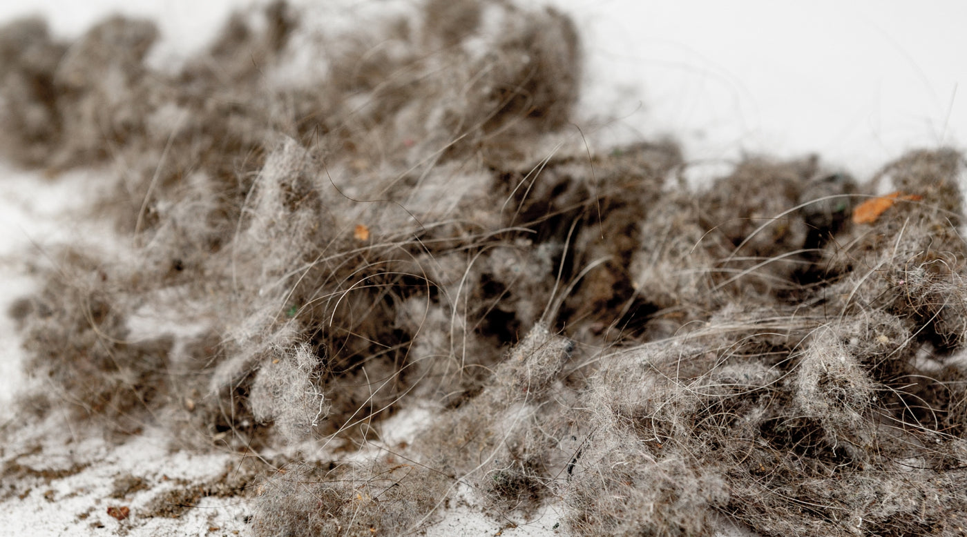 What is Dust Made of? - filtersdirectusa